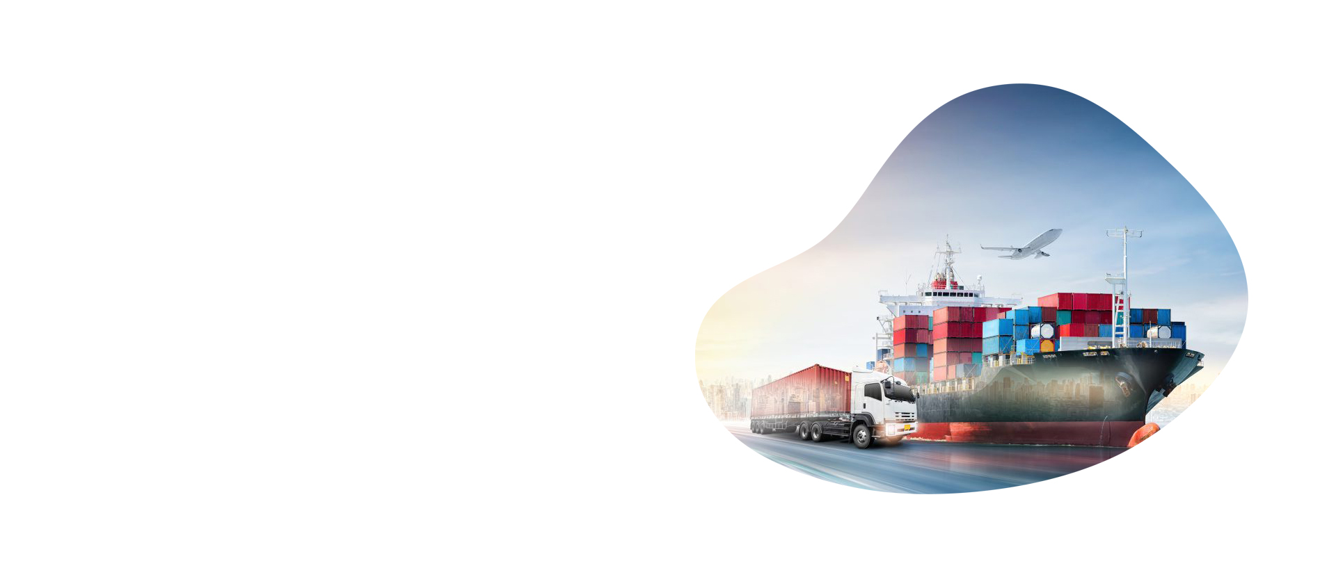 Bright Speed Logistic Services Company – BSLSC